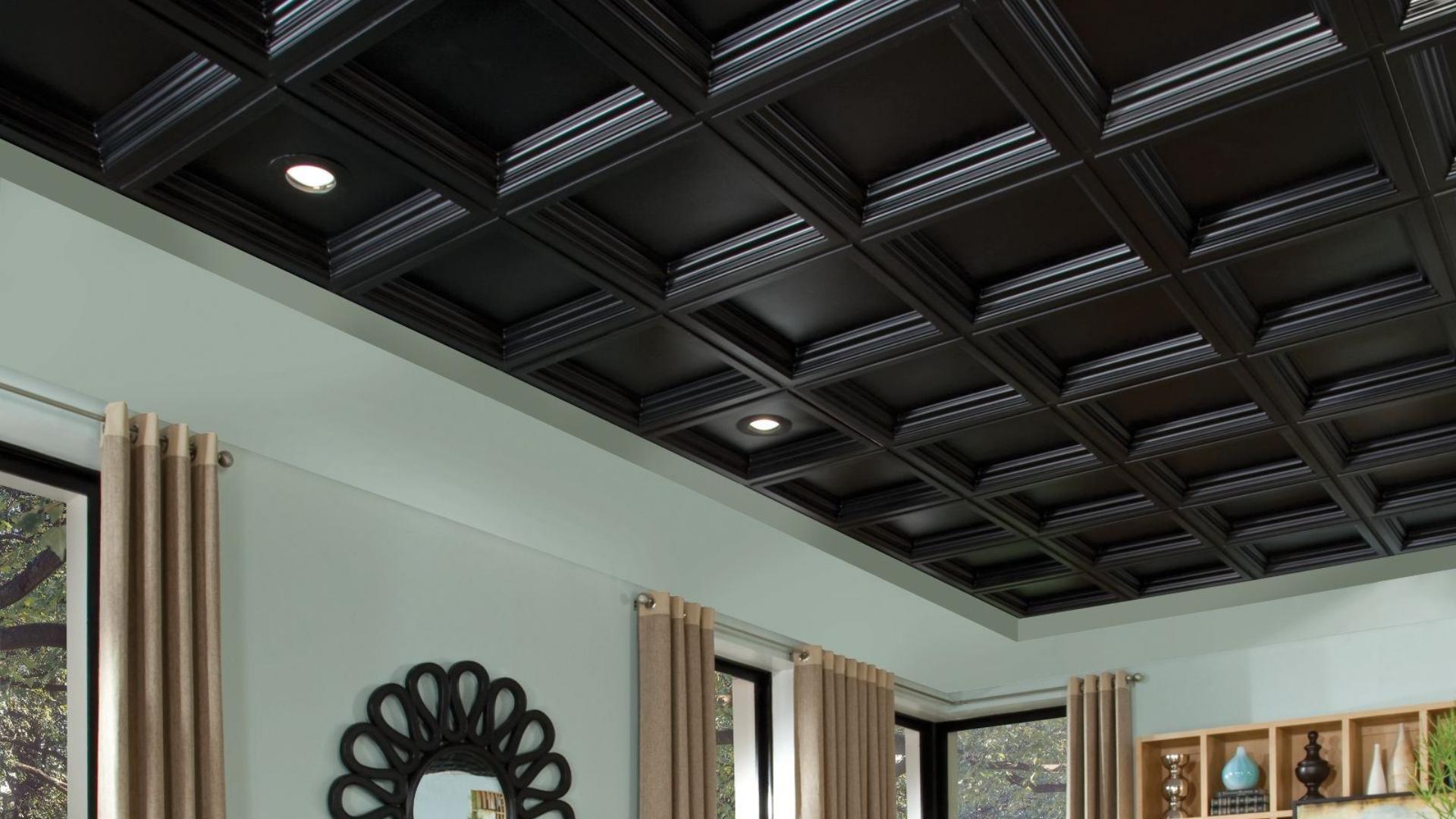 Decorative Ceiling and Wall Products - InterSource Specialties Co.